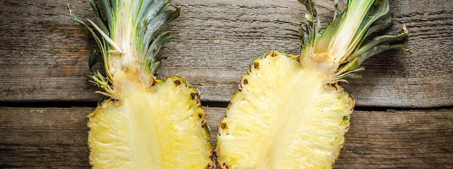 ブロメラインに関するFAQ | スピードボディのブログ